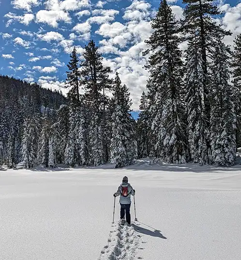 2024 SNOWFEST Educational Snowshoeing EXPERIENCE - Lake Tahoe Travel